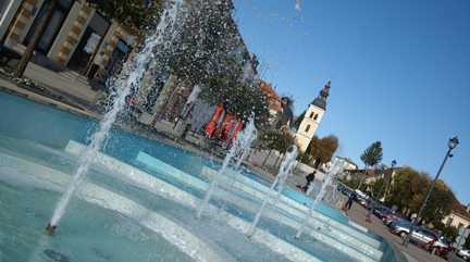 Daruvar is Croatia’s Famous Crane Town – European Traveler