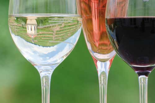 Discover Germany’s Wine Regions – European Traveler